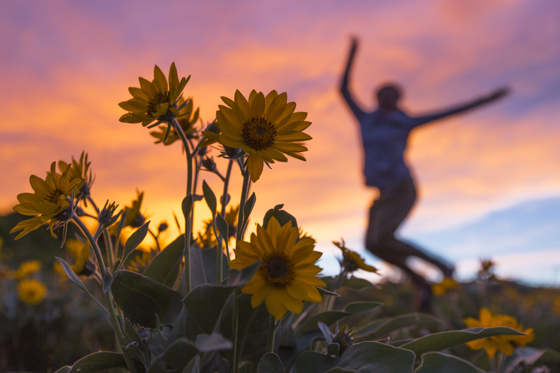 Environmental Songs for a United Sense of Place – Listen to the Earth